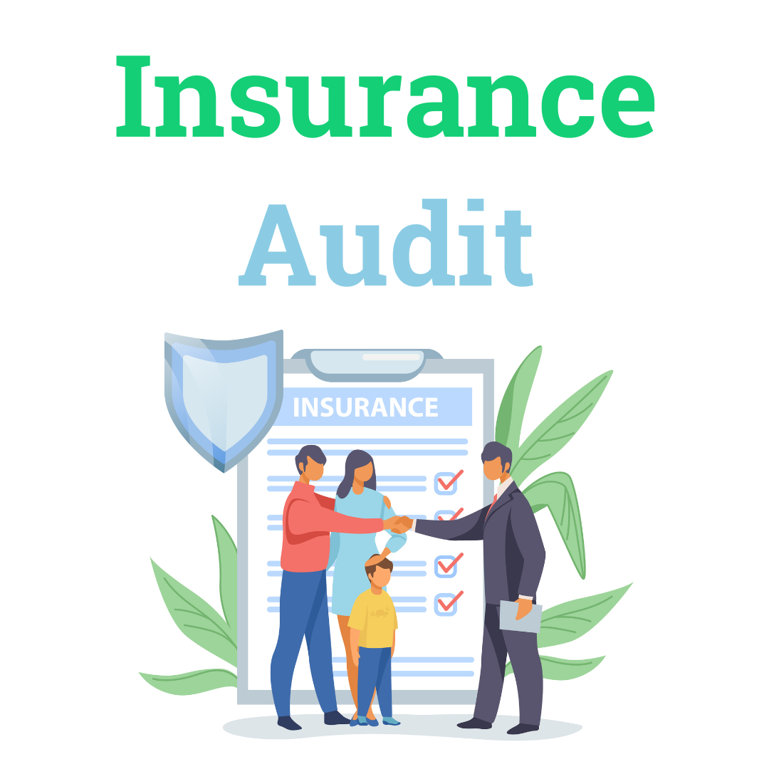 Insurance Audit — Engage